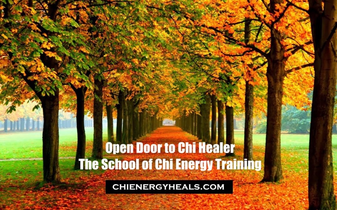 Chi Energy Method of Bio-Energy Healers Facebook Group | School of Chi ...