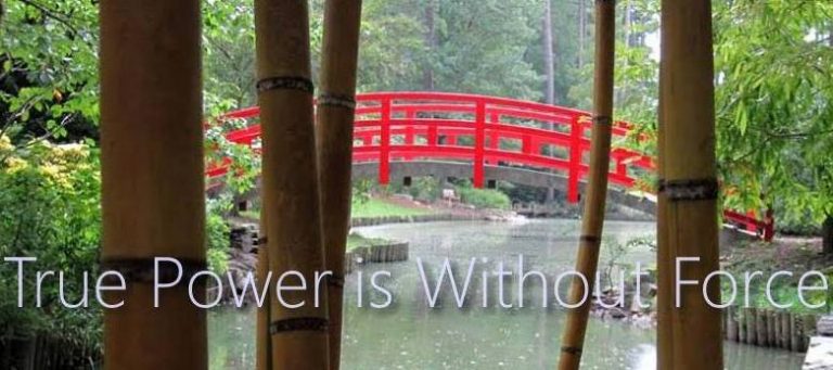 Cultivating Chi Energy a Circular Bio-Electrical Method