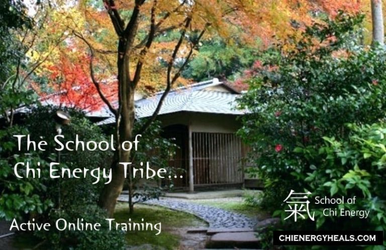 Chi Energy Training Student Tuition & Options | School of Chi Energy